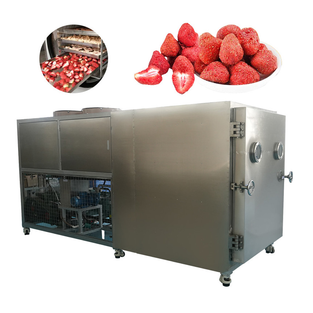 What Is the Prospects of Freeze Drying Technology Application?
