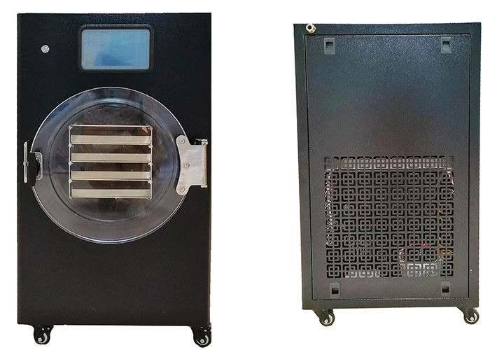 220V 380V 3PH Voltage Stay Fresh Freeze Dryers With PLC Control System