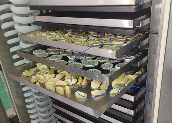 30KG Sublimation Food Vacuum Lyophilizer Freeze Dryer